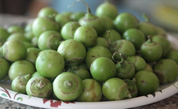 Bhokar Fruit : ये है दुनिया का सबसे ताकतवर फल.. बूढ़ों को भी बना देता ...